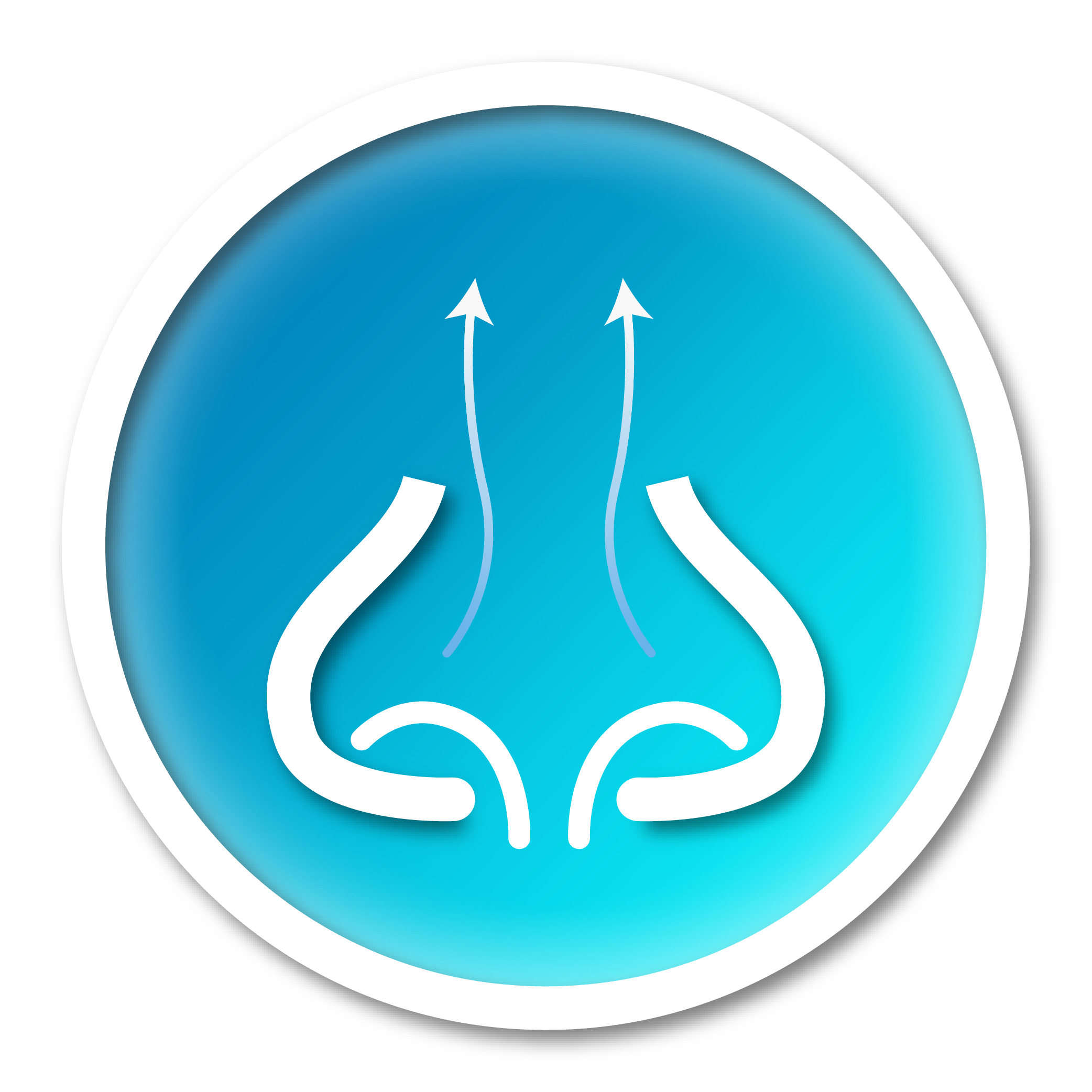 NasalMag ~ Scented Nasal Clips